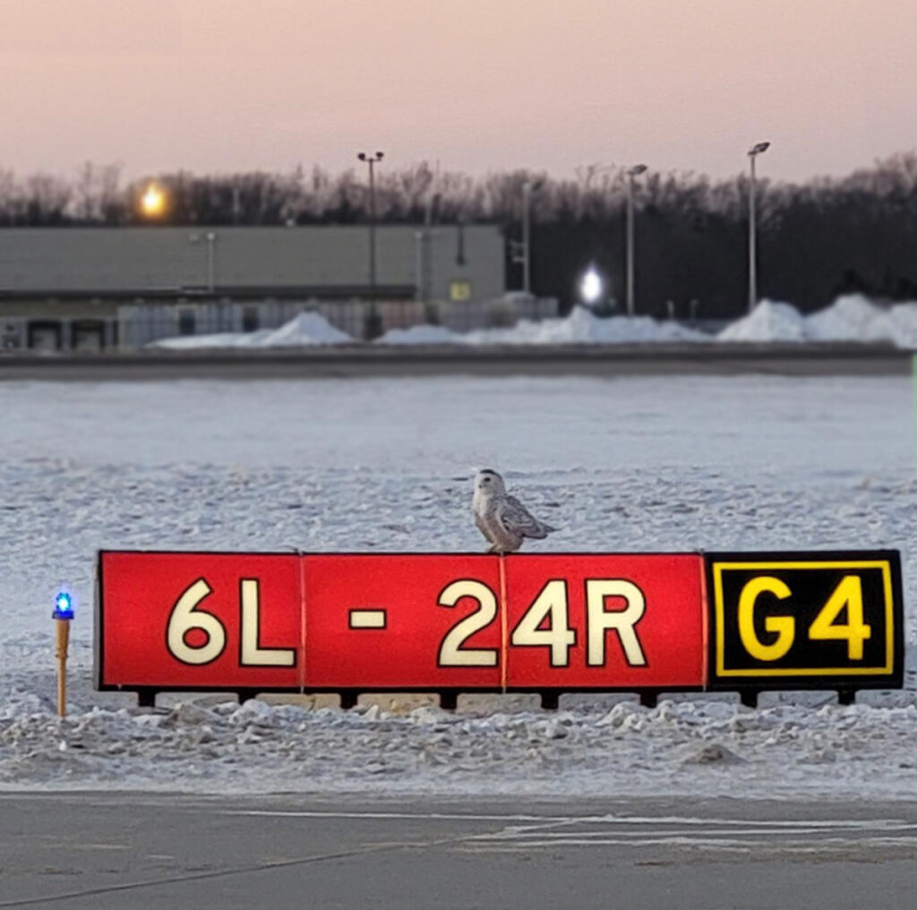 Photo Contest | Lumacurve Airfield Signs